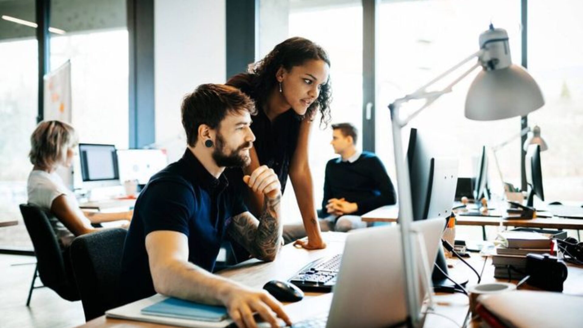 Comprehensive Development for Every Project - Zucadevelopers